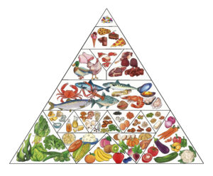 Eet als de oermens; Recept voor een lang leven - Medisch Dossier