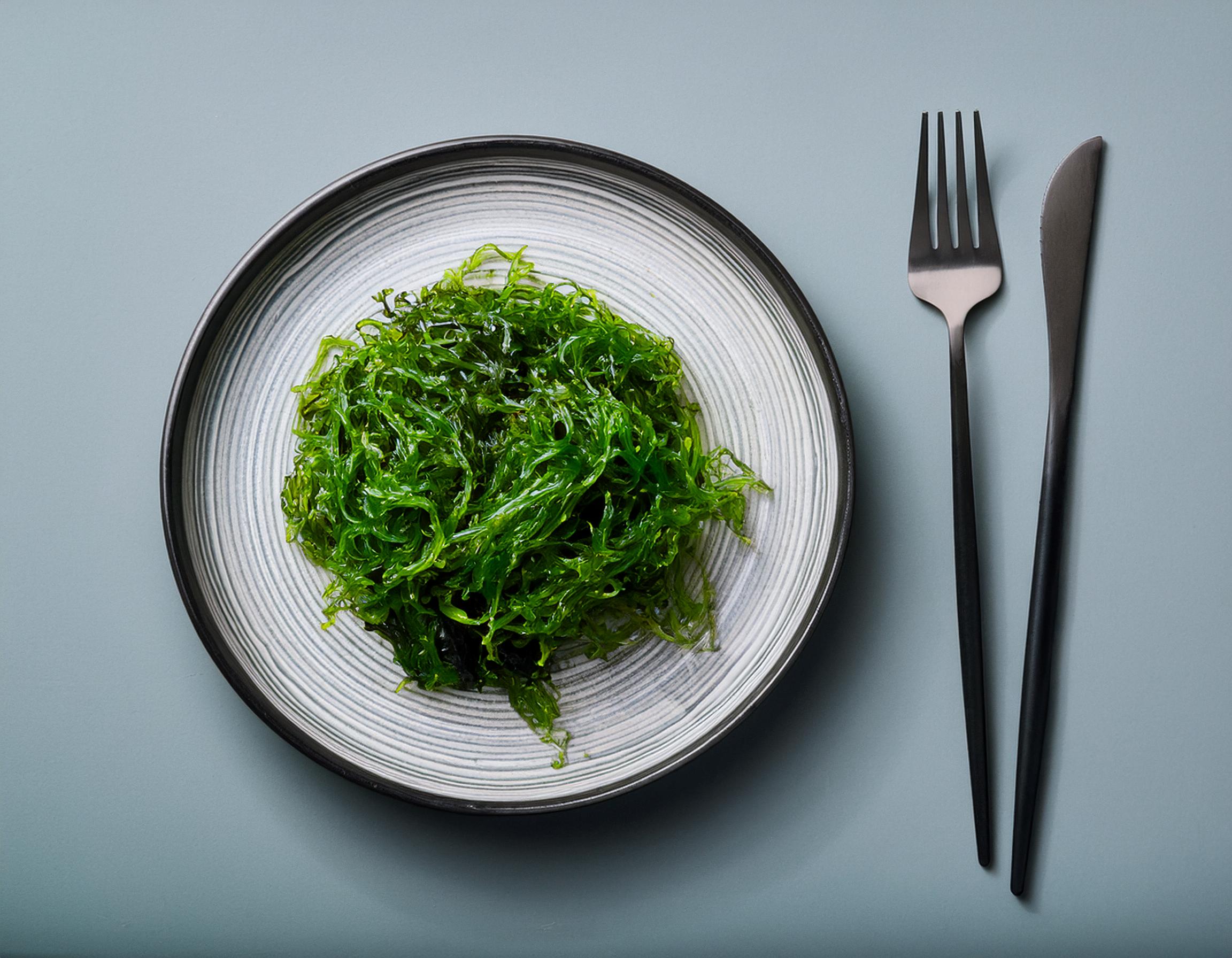 Zeewier biedt veelbelovende gezondheidsvoordelen - Medisch Dossier