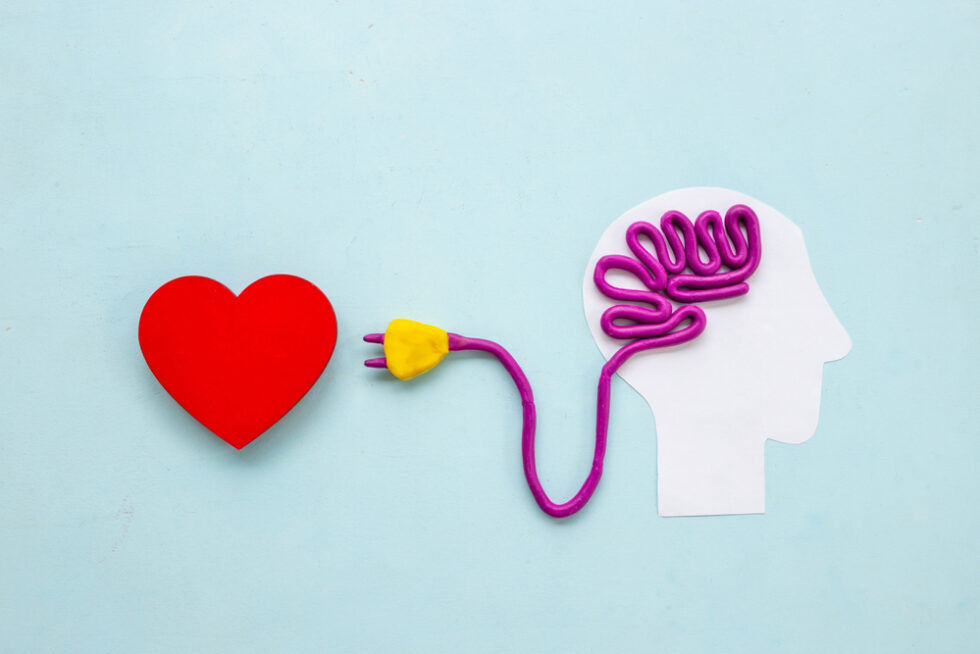 Nieuws - Medisch Dossier