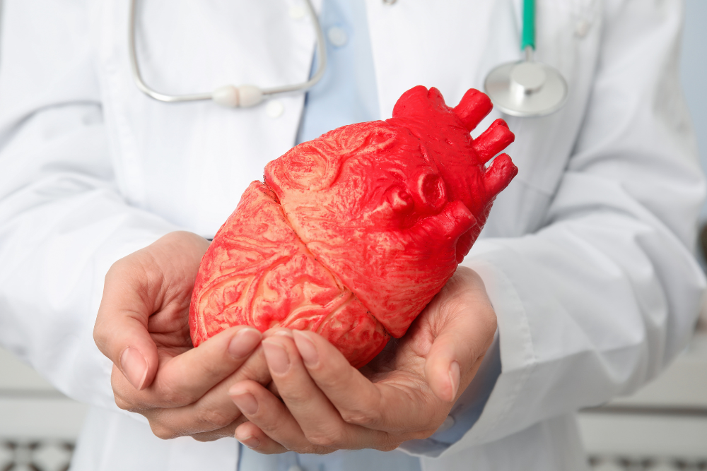 Is 99% van hart- en vaatziekten te voorkomen? - Medisch Dossier